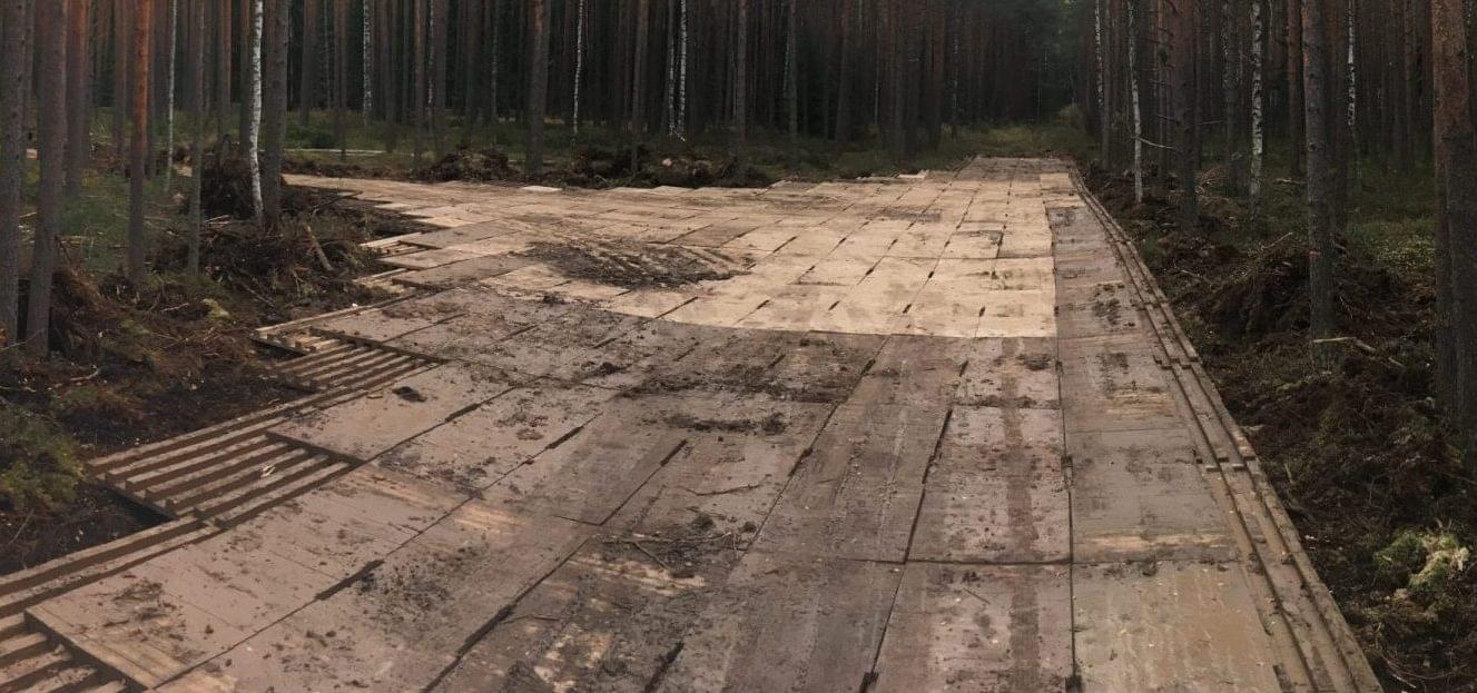 Marko | Koka vairogi